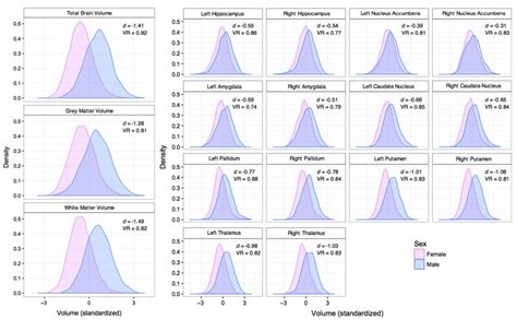 Crémieux On Twitter Male And Female Brains Are Very Different Sizes Brain Size Is A Causal