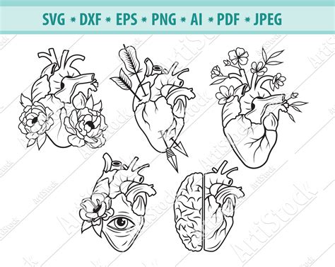 Human Heart Svg Anatomical Heart Svg Love Svg Medical Svg Heart Porn