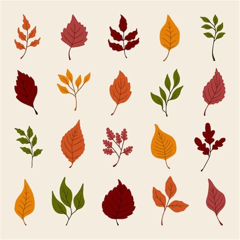Premium Vector Set Of Autumn Leaves Vector