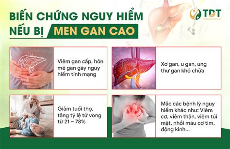 Men gan cao Nguyên nhân tăng và cách giảm nhanh nhất