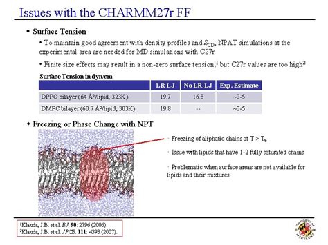 Lipid Bilayer Simulations Force Fields Simulation And Analysis