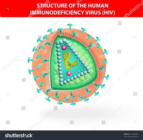 Hiv Disease Structure