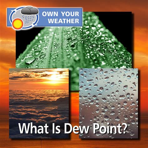 Dew Point