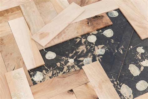 Olu Ogunnaike London Plain Curator Milika Muritu