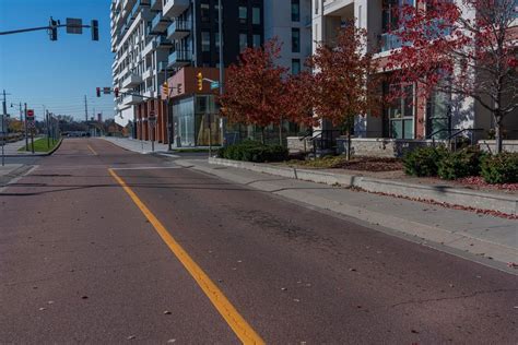 Urban Design On Streets Tree Lined Thoroughfare