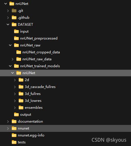 Nnunet 在windows 10 上使用windows下实现nnunet预训练模型下载 Csdn博客