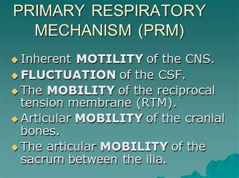 Complex Remember Comlex Omm Omm4 Counterstrain Points Flashcards