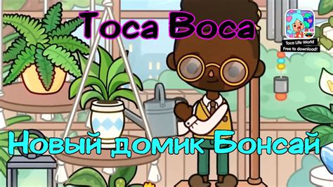 Тока Бока с новым домом Бонсай