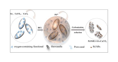 Pd Nanoparticles On Carbon Supports As Electrocatalysts For The Oxygen
