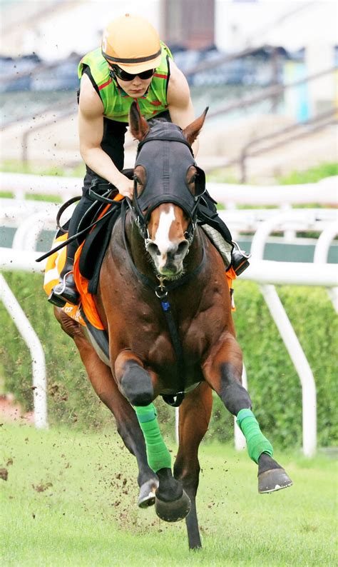 【チャンピオンズマイル】エルトンバローズは西村淳也騎手を背に現地で追い切り「機嫌良く走っていました」 スポーツ報知