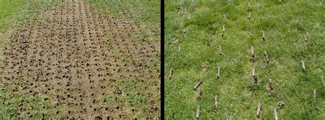 Aeration A Foundational Practice For Sports Fields Sportsfield