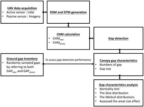 Analysis Of Canopy Gaps Of Coastal Broadleaf Forest Plantations In Northeast Taiwan Using Uav