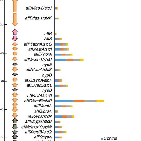 Relative Expression Of Aflatoxin Biosynthetic Genes Bars Indicate The