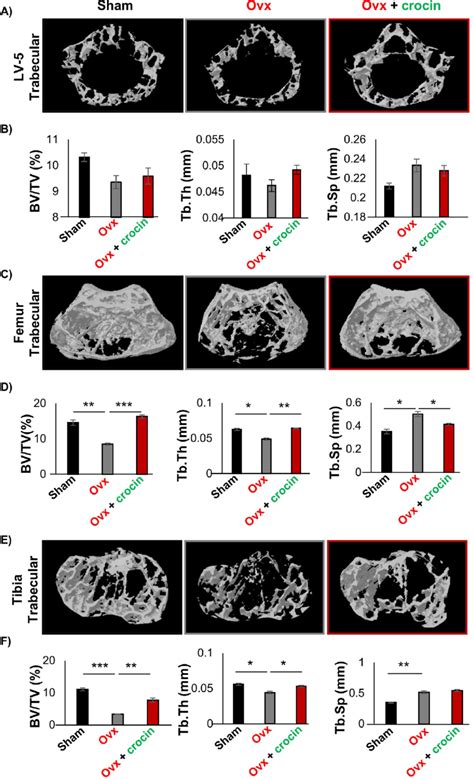 Crocin Enhances Trabecular Download Scientific Diagram
