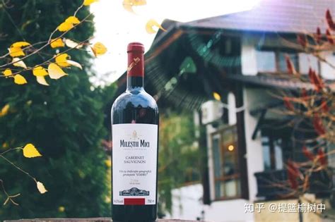 喝剩的葡萄酒要怎么保存？米茨mici教你几个方法 知乎