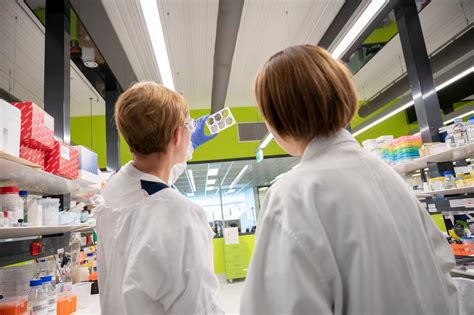 Leveraging Stem Like Memory T Cells For Effective Anti Cancer Mrna Vaccines Cancer Council Nsw