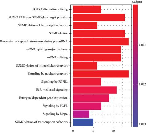 The Results Of The Enrichment Analysis Of The Liquid Liquid Phase