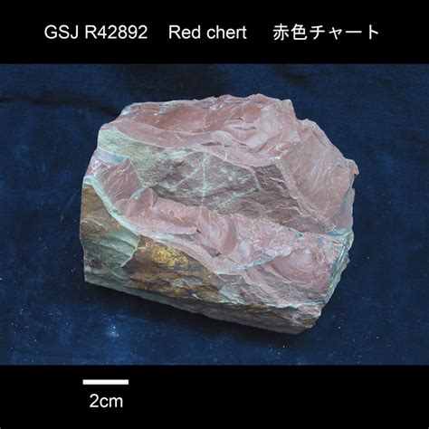 岩石標本 赤色層状放散虫チャート 地質標本鑑賞会