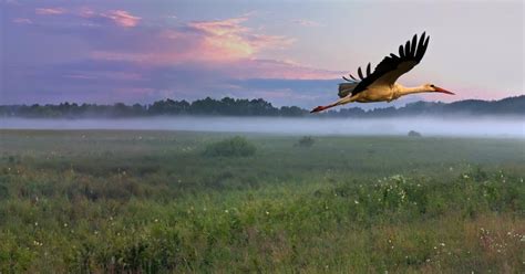 Cig Success Stories Natural Resources Conservation Service