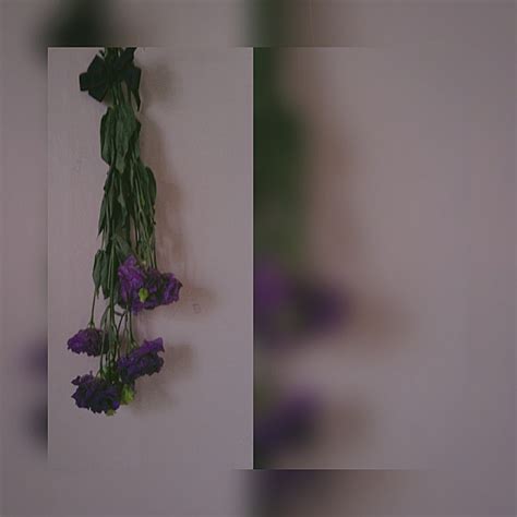 너를 보았다 나태주