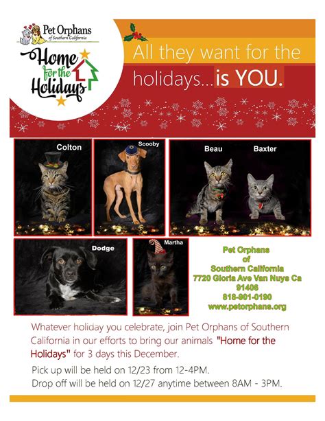 Pet Orphans Of Southern California Home