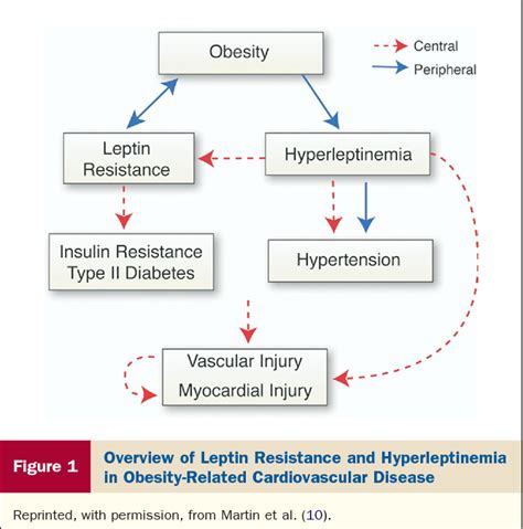 Obesity Hypoventilation Syndrome Semantic Scholar