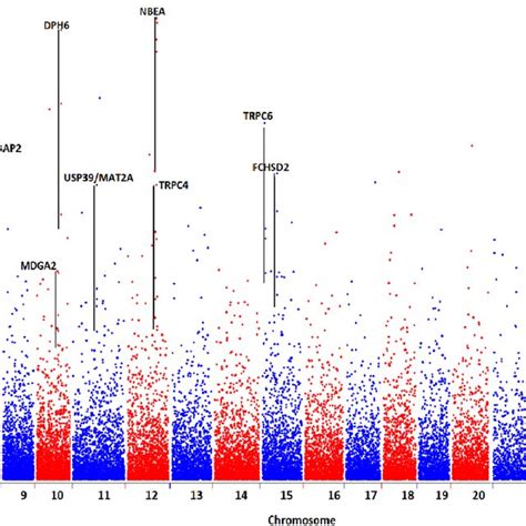Genome Scan For Selection Signatures In Local Goat Breeds Obtained By Download Scientific