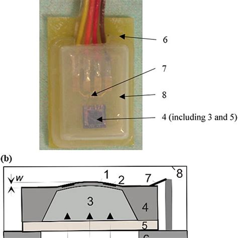 Dip Sensor A And Cross Section Of The Sensor Element B Schmidt Et