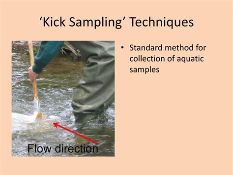 What Is Kick Sampling At Nicholas Heaton Blog