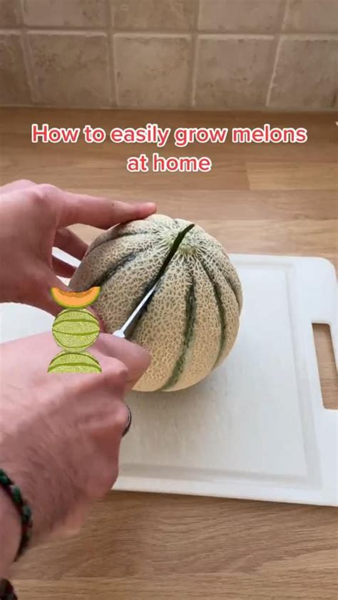 How To Grow Melons Artofit