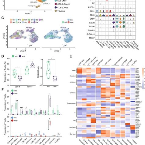 Distinct Nk Cells In Wm From Hd A T Sne Projections Of Subclustered Nk