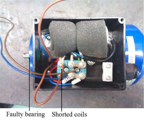 The Single Phase Induction Motor With Faulty Bearing And Shorted Coils