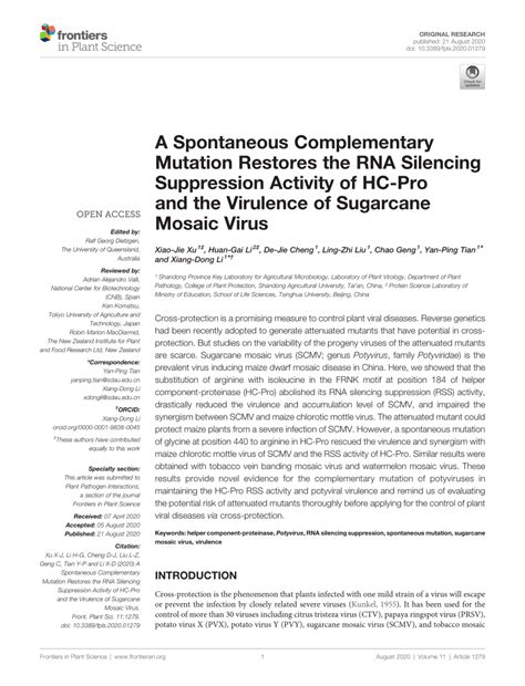 Pdf A Spontaneous Complementary Mutation Restores The Rna Silencing
