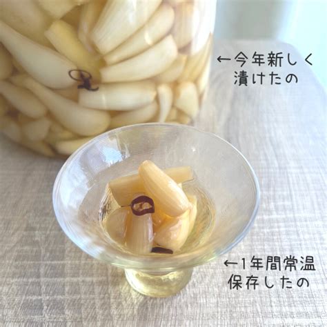 レシピ付らっきょうの甘酢漬け 大阪神戸西宮近郊で糀の基礎を学ぶならまや発酵教室