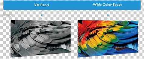 Graphic Design High dynamic range Imaging Graphics VA方式 Text PNG Clipart Benq Cover Version