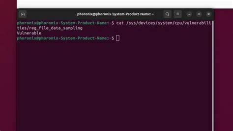 The Performance Impact Of Intels Register File Data Sampling Rfds