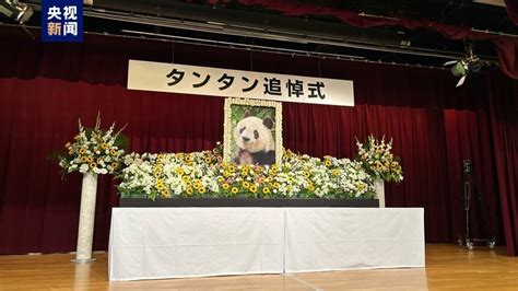 日本为旅日大熊猫“旦旦”举行追悼会 荆楚网 湖北日报网