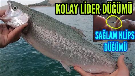 Somon Avı ve Teknikleri Kolay Lider Düğümü Albright Düğümü Turkish