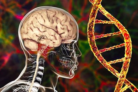 Detección Precoz De La Enfermedad De Alzheimer Cmpc