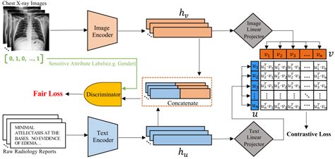 [논문 리뷰] Adfair Clip Adversarial Fair Contrastive Language Image Pre Training For Chest X Rays