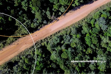 Novo Estudo Reforça Riscos Socioambientais Da Pavimentação Da Br 319