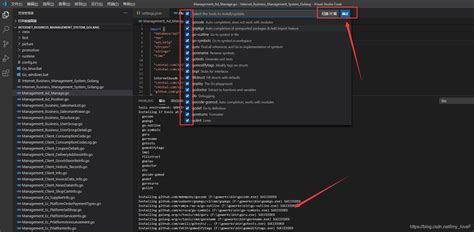 vscode go 增加代码检查和代码提示 vscode go 代码检查 csdn博客