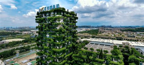 砸锅卖铁支持公司碧桂园杨家再发声 杨惠妍 销售金额 项目