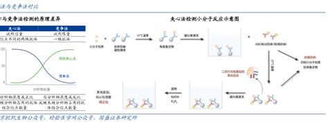 各公司主要发光仪器产品对比 2024年09月 行业研究数据 小牛行研