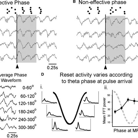 Reset Of Ongoing Theta During Median Raphe Pulse Stimulation A Theta
