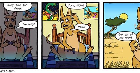 Kangaroom Album On Imgur