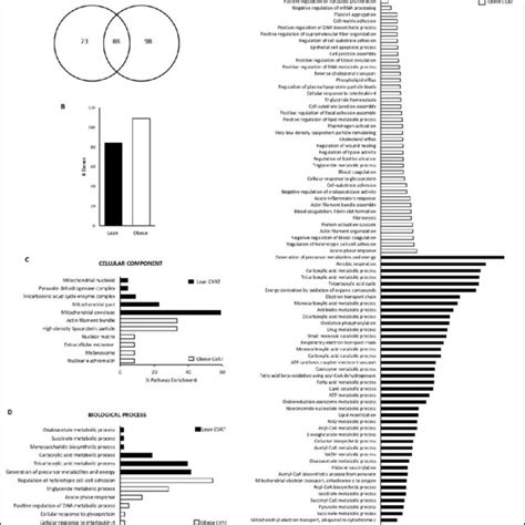 Proteomics Identification Of Protein And Pathways A Venn Diagram