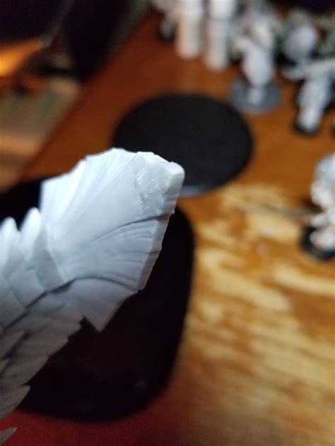 Dracodile Issues Album On Imgur