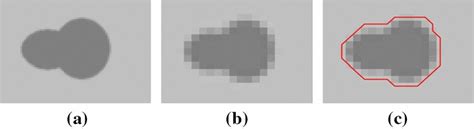 Coarse Segmentation Process For A Synthetic Image Download Scientific