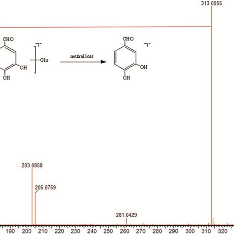 The Mass Spectra Of Protocatechuic Aldehyde Glucuronide In Negative